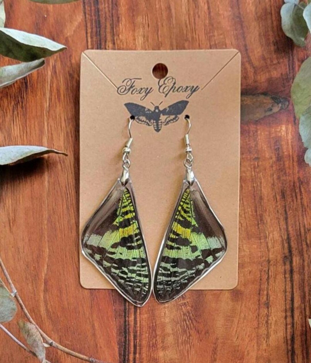 Real Madagascan Sunset Moth Wing Earrings, Jewelry, Taxidermy, Nature ...