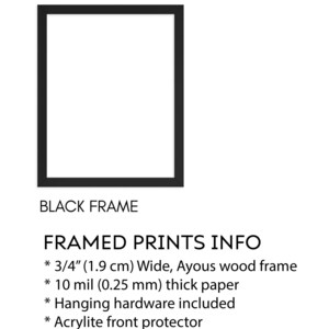 A Minor Bird Poem by Robert Frost Typography Art Print - Etsy