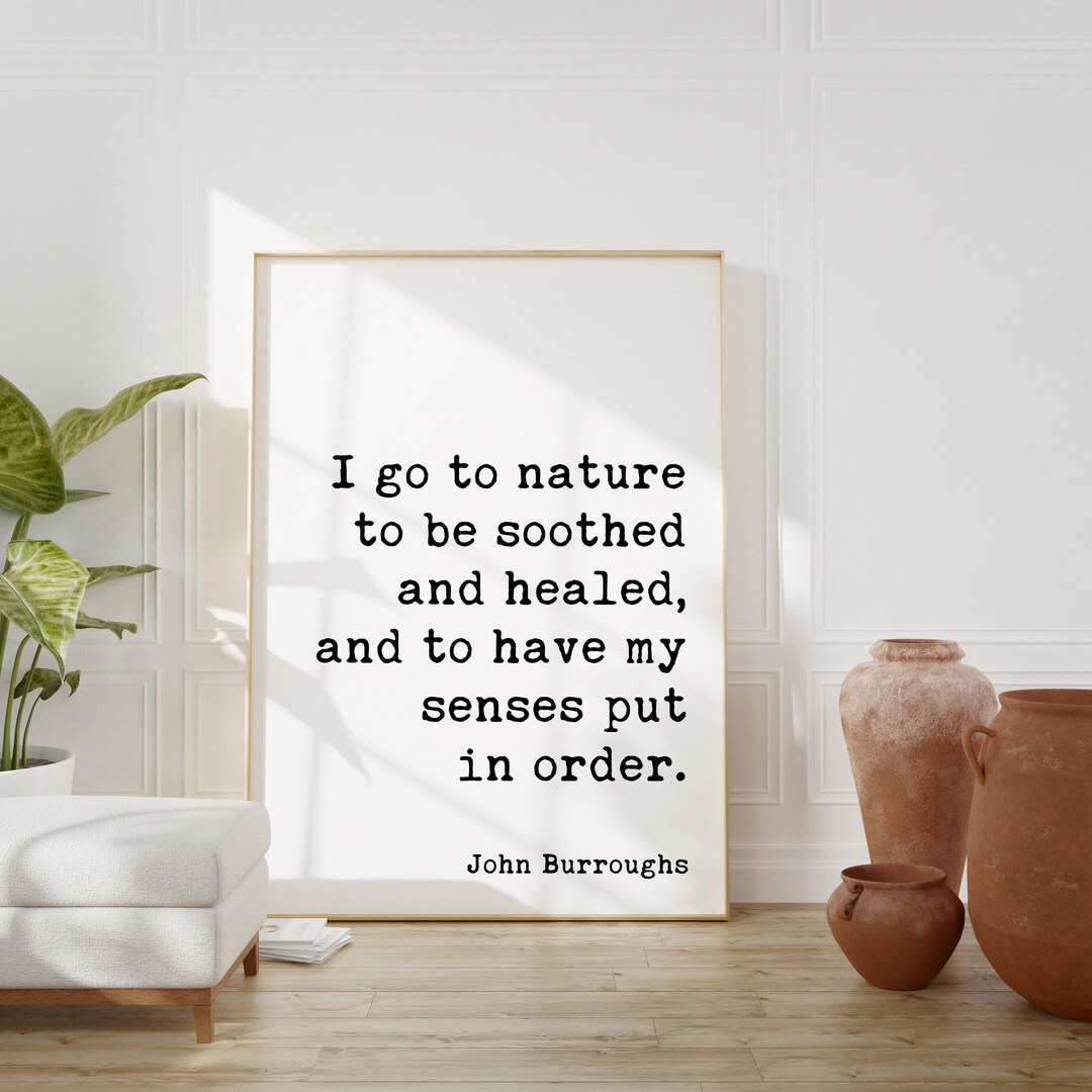 I Go to Nature to Be Soothed and Healed, and to Have My Senses Put in ...
