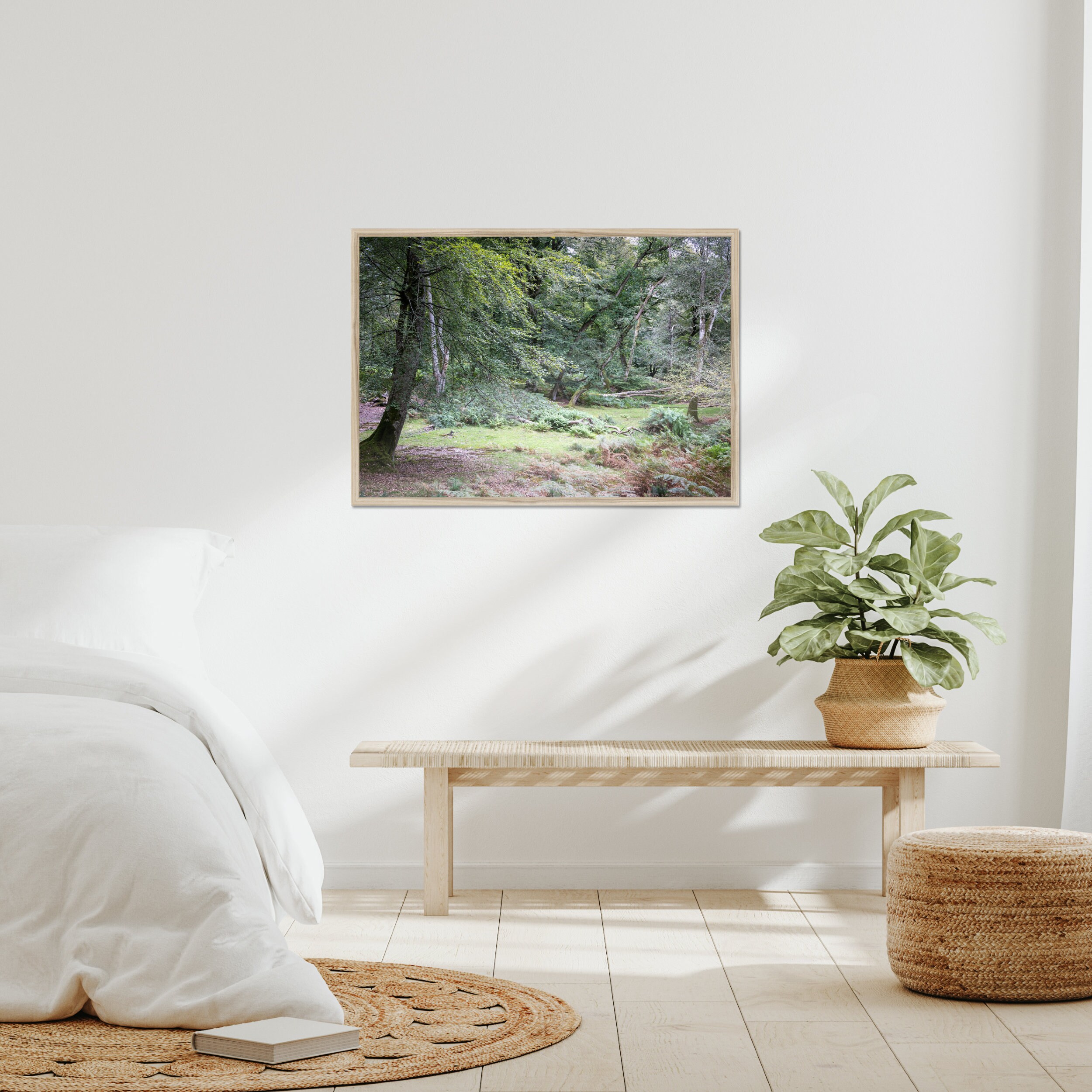 Shades of Nature: Forest Scene, Forest Landscape, Photo Print, Wall Art ...
