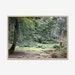 Shades of Nature: Forest Scene, Forest Landscape, Photo Print, Wall Art ...