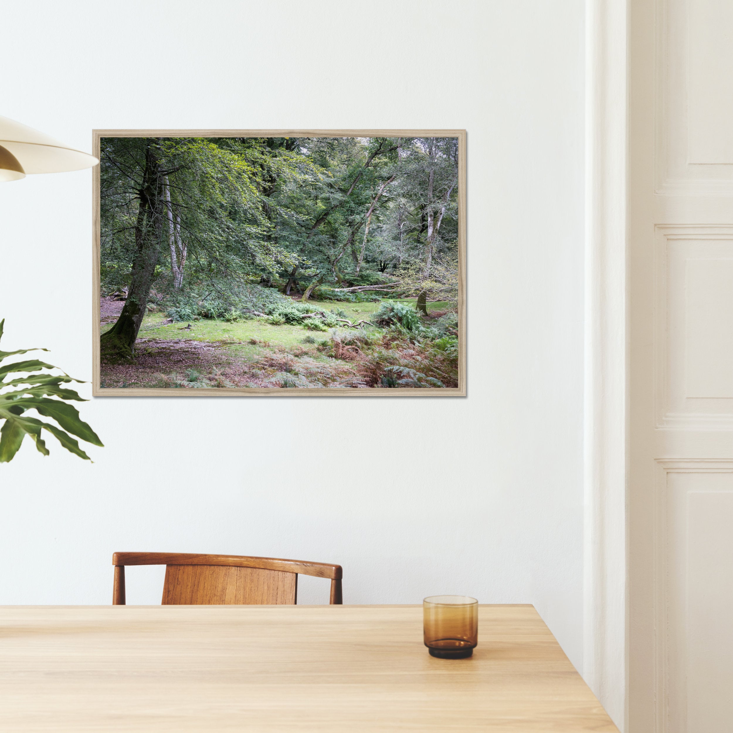 Shades of Nature: Forest Scene, Forest Landscape, Photo Print, Wall Art ...