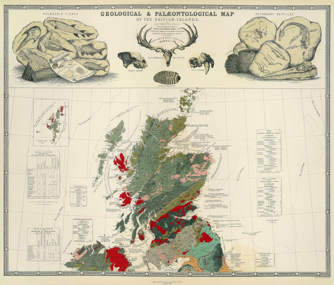 Geological & Palaeontological Map of the British Islands 2 Maps 1854 ...