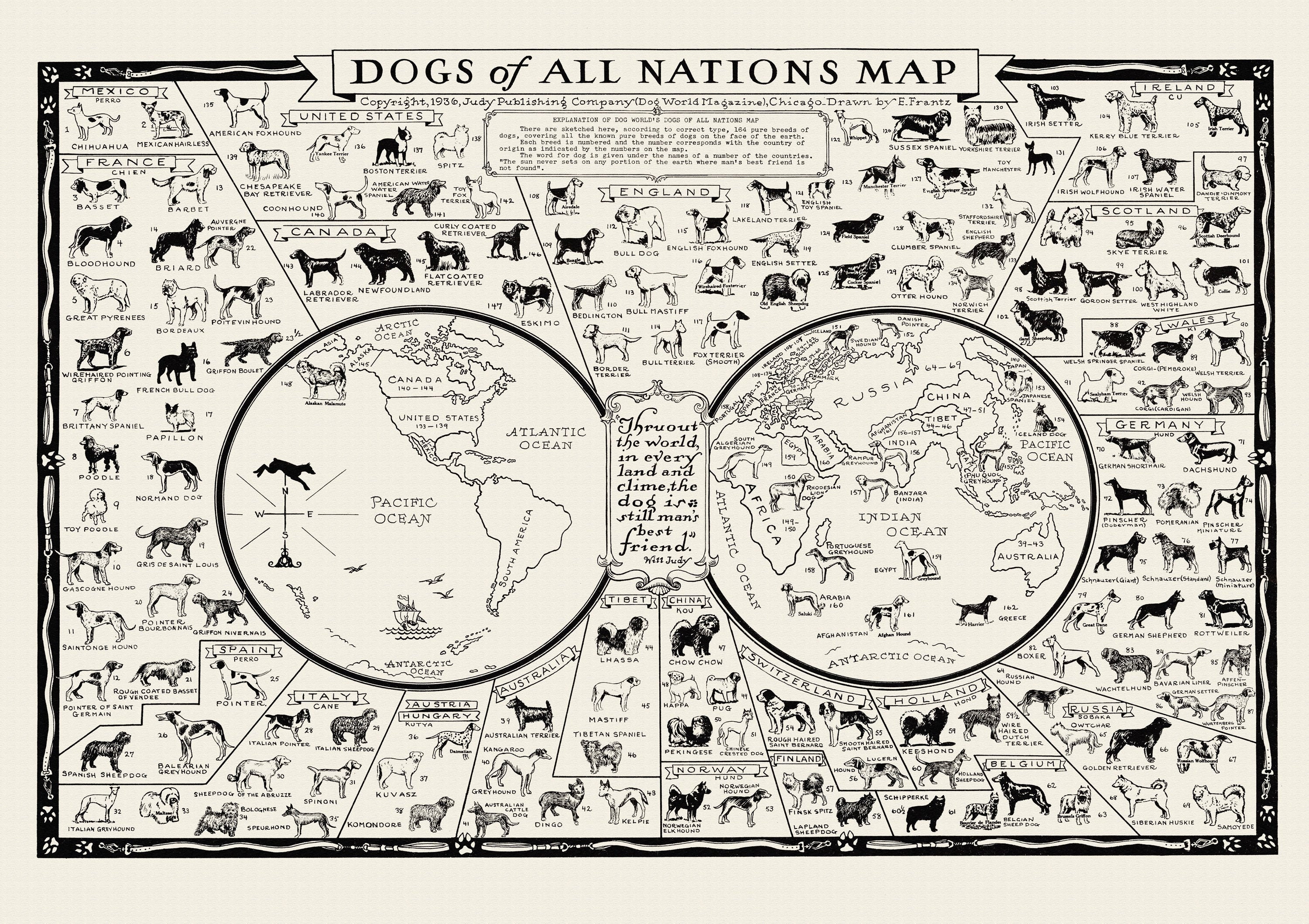 Dogs of All Nations 1936 Old Pictorial Map Dog Breeds Map, Vintage Map ...
