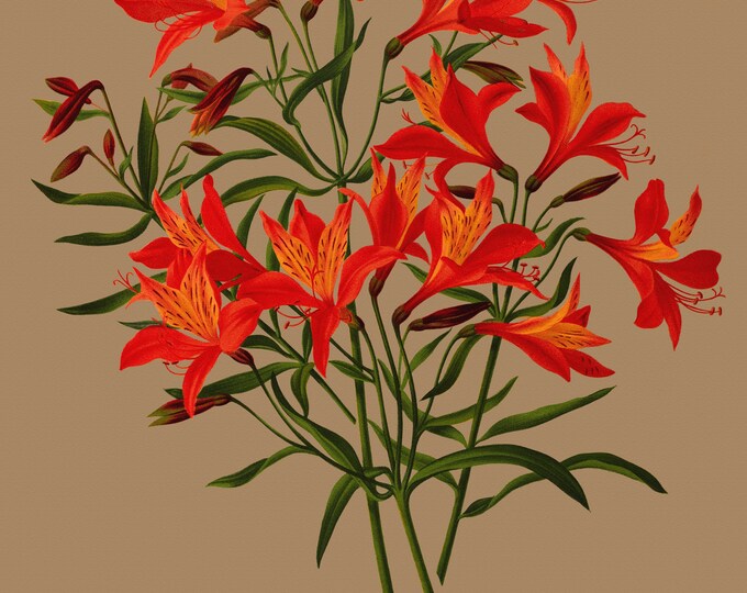 Old Map Birmingham 1939 Map 19 Frankley Bartley Green - Etsy UK