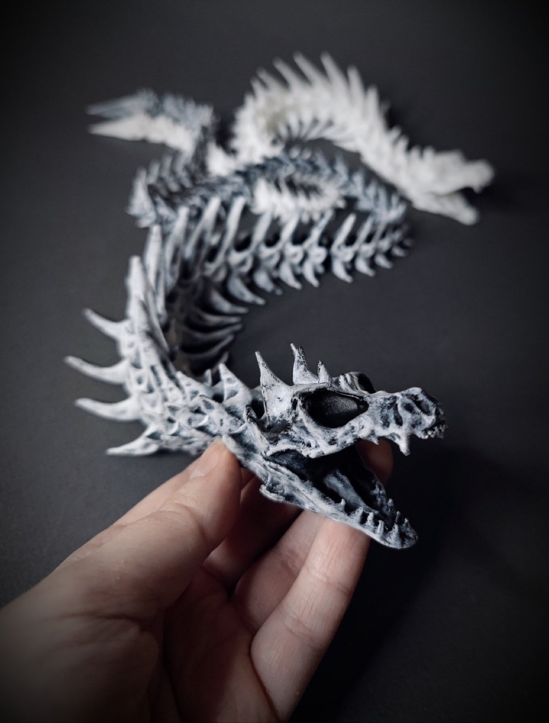 ARTICULATED SNAKE SKELETON - Etsy