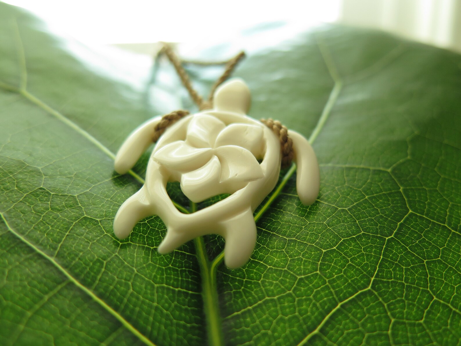 Hawaiian Honu Turtle Plumeria Outline White Buffalo Bone | Etsy