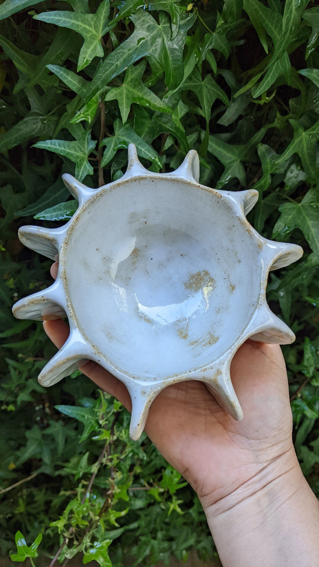 Ceramic Sea Anemone Bowl Etsy