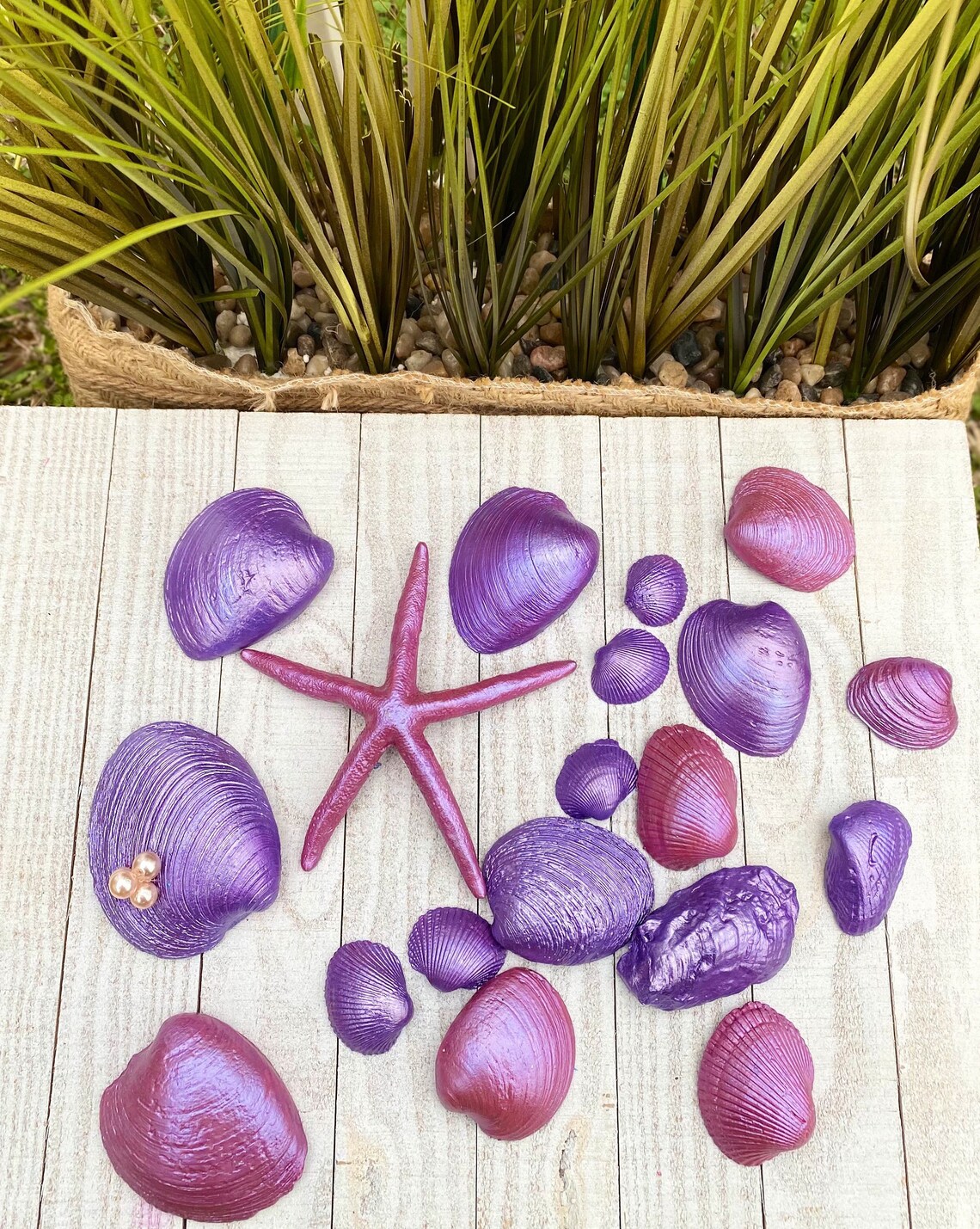 19 Mermaid Style Hand Painted Seashells and Starfish Lot for - Etsy