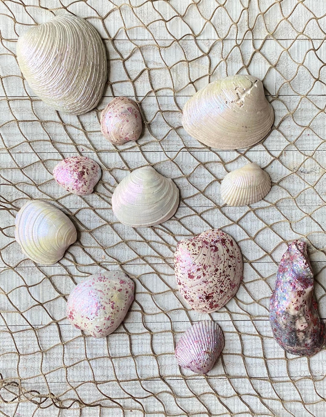 11 Shimmering, Elegant Sea Shells for Mermaid Party or Beach Wedding ...