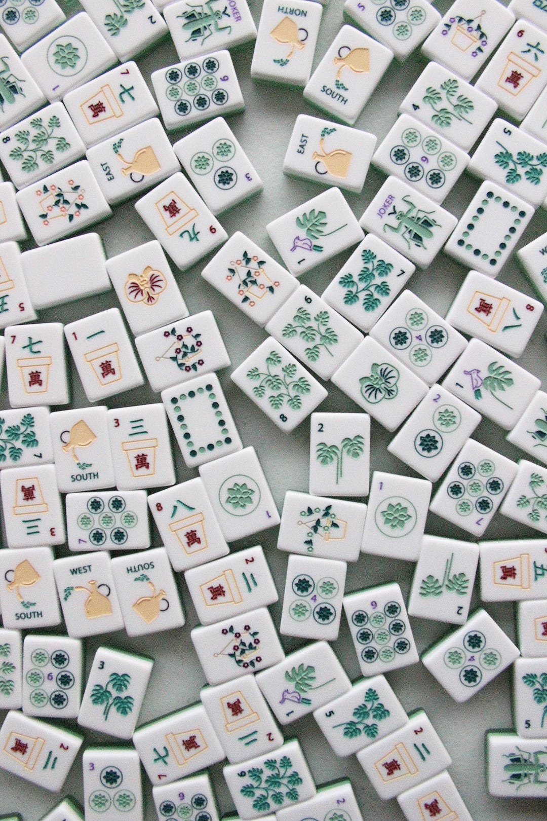 Houseplant Mahjong Tile Set, Mahjong Game, American Mahjong, Floral ...
