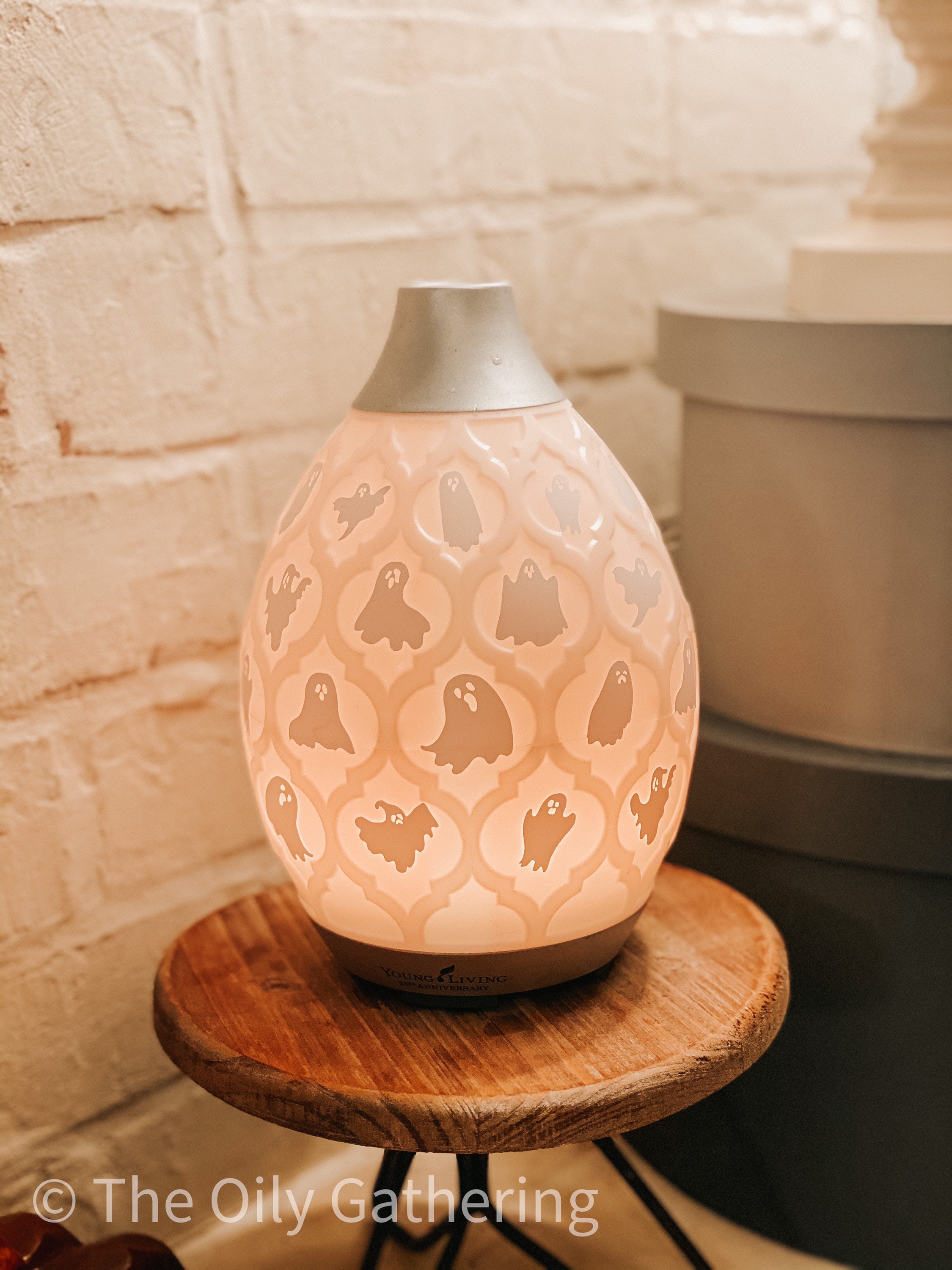 Set of 24 Various Ghosts for Desert Mist Diffuser Lantern - Etsy