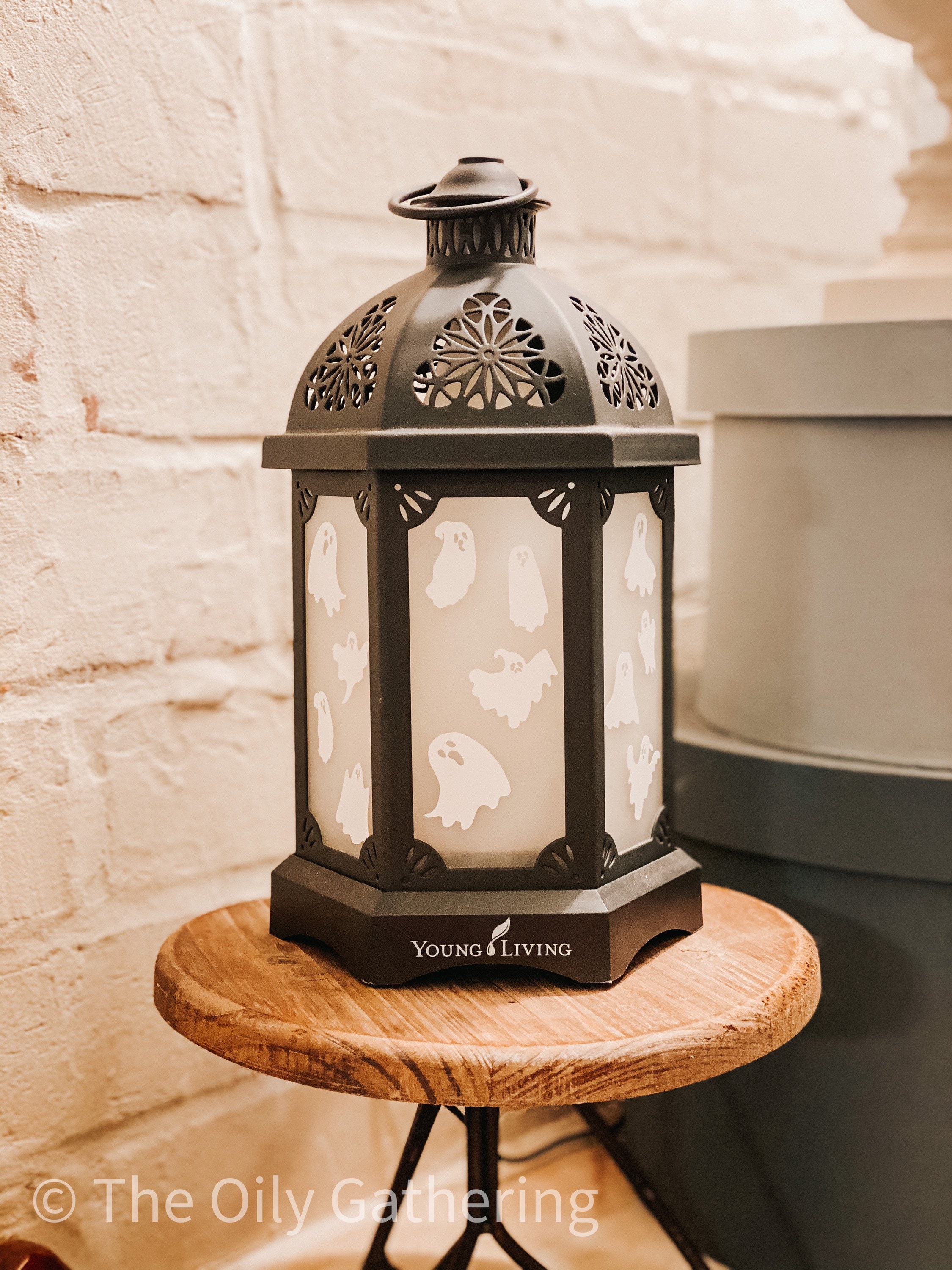 Set of 24 Various Ghosts for Desert Mist Diffuser Lantern - Etsy