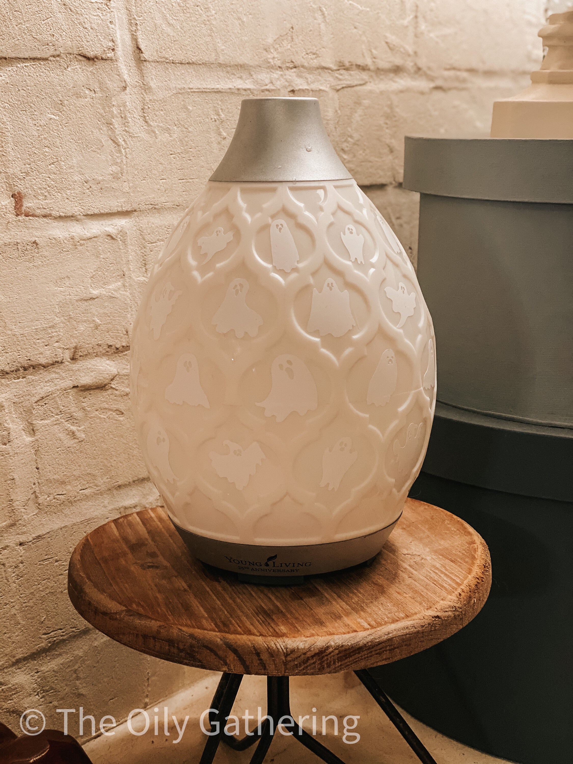 Set of 24 Various Ghosts for Desert Mist Diffuser Lantern - Etsy