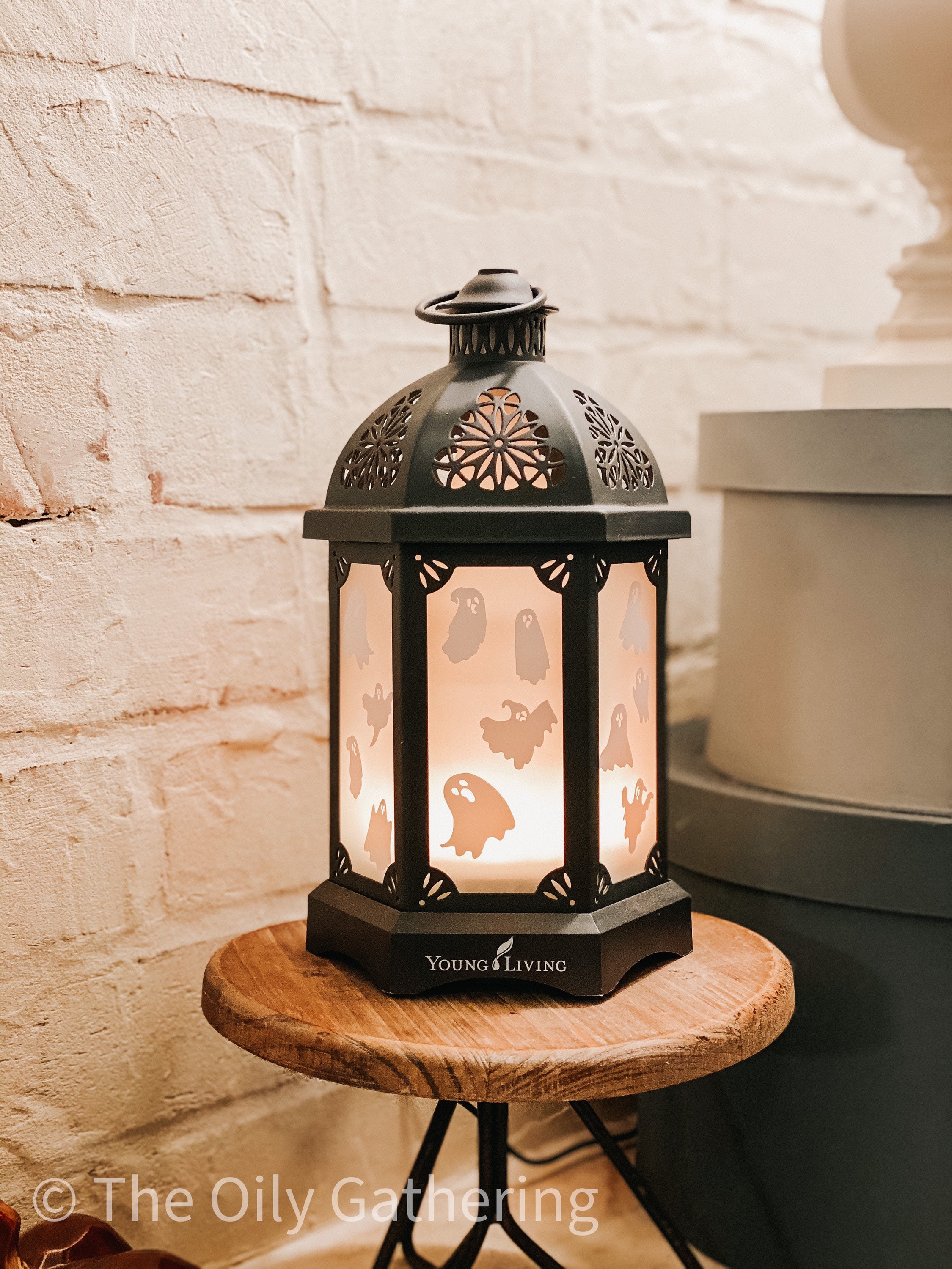 Set of 24 Various Ghosts for Desert Mist Diffuser Lantern - Etsy