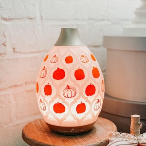 Set of 21 Various Pumpkins for Desert Mist Diffuser, Lantern Diffuser ...