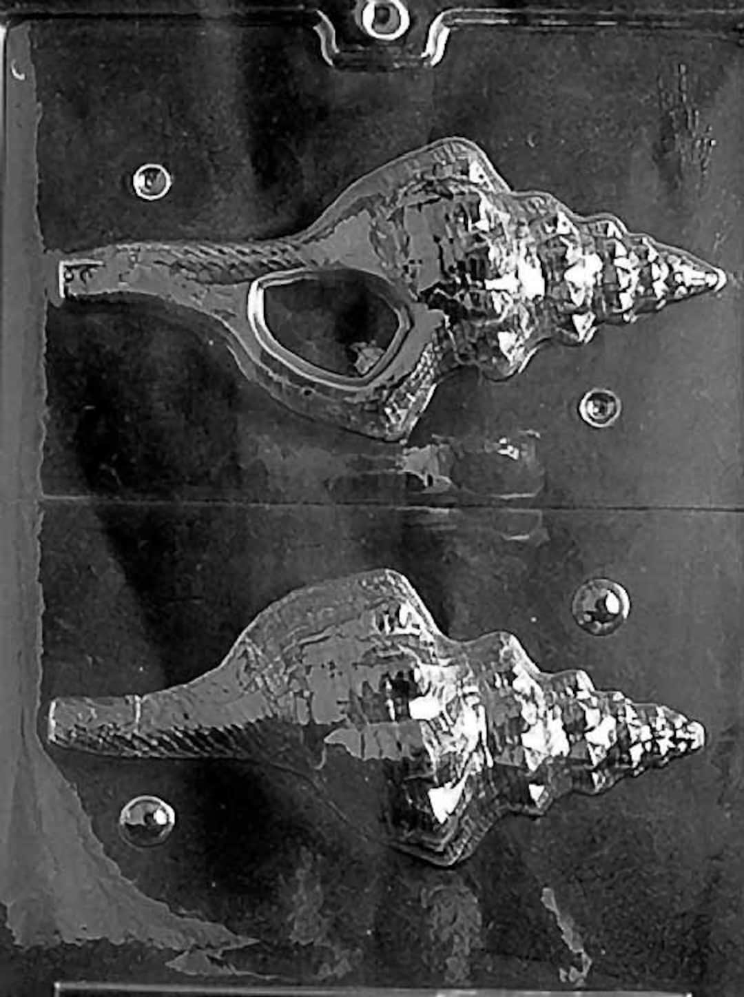 LARGE CONCH SHELL Chocolate Candy Mold Craft Supply - Etsy