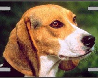 Beagle License Plate Frame - Etsy