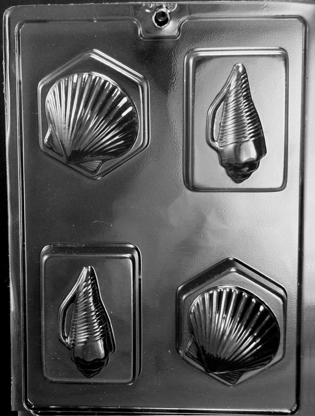 NAUTICAL SHELL BARS Chocolate Candy Mold Craft Supply - Etsy