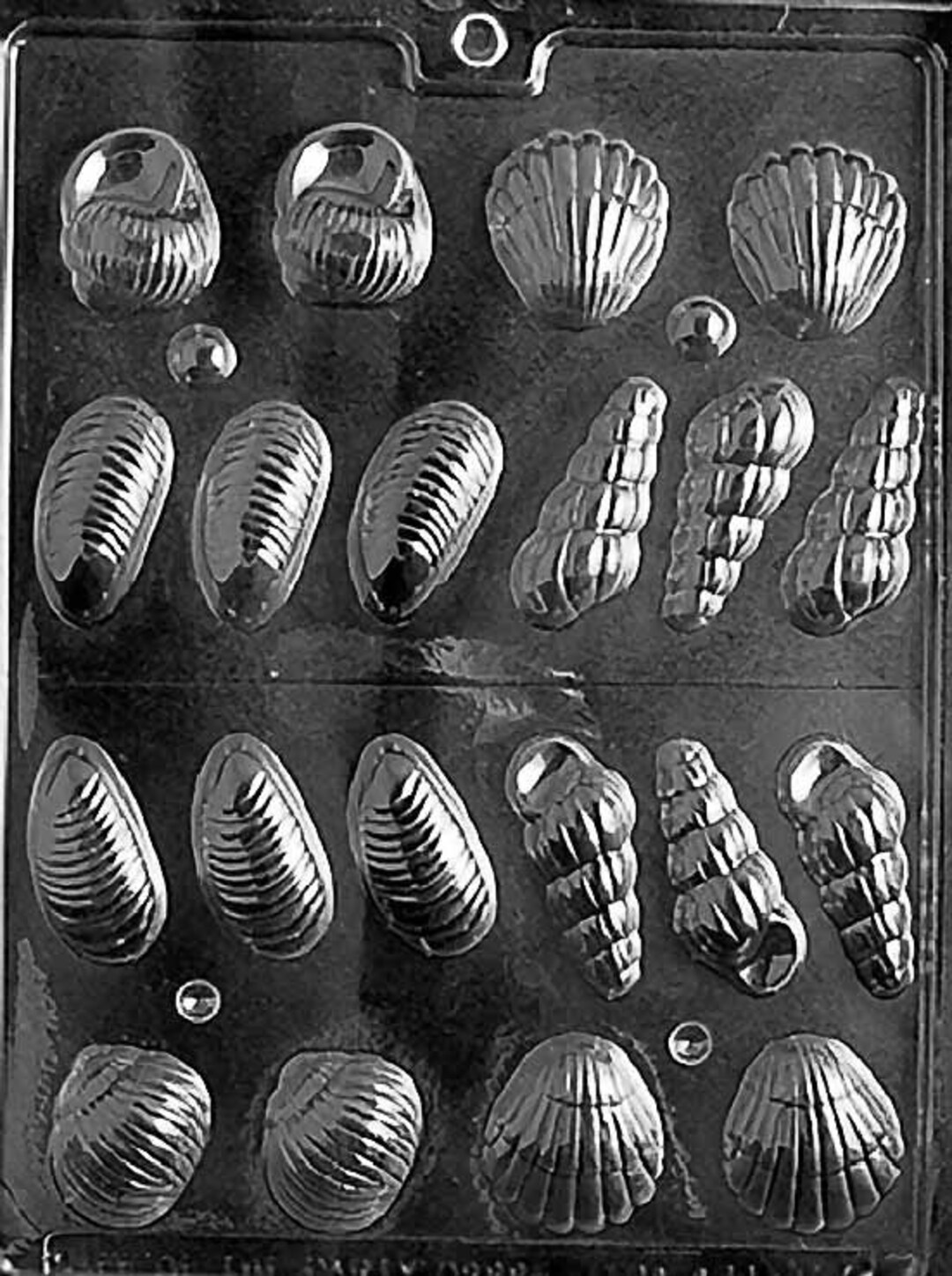 3D SHELLS Chocolate Candy Mold Craft Supply - Etsy