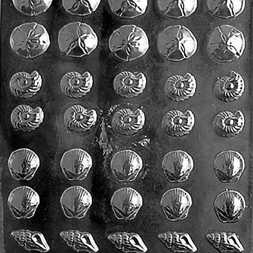 NAUTICAL SHELL BARS Chocolate Candy Mold Craft Supply - Etsy