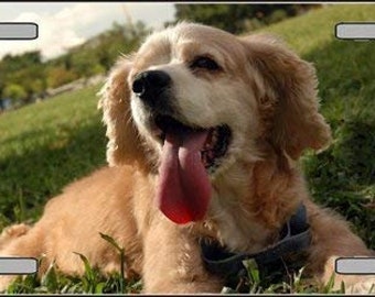 Cocker Spaniel Plate | Etsy