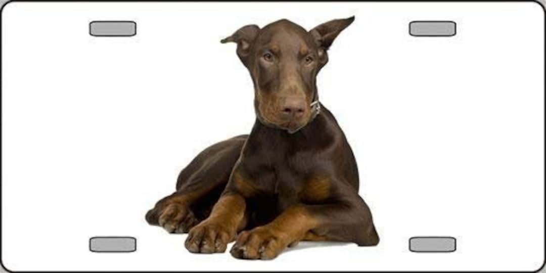 DOBERMAN PINSCHER Dog Metal License Plate Dog Lovers Craft Supply - Etsy