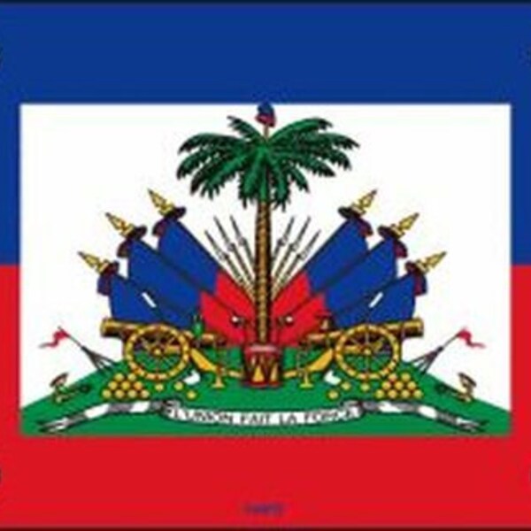 Haitian License Plate - Etsy
