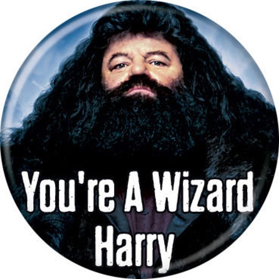 Hagrid Youre A Wizard Harry