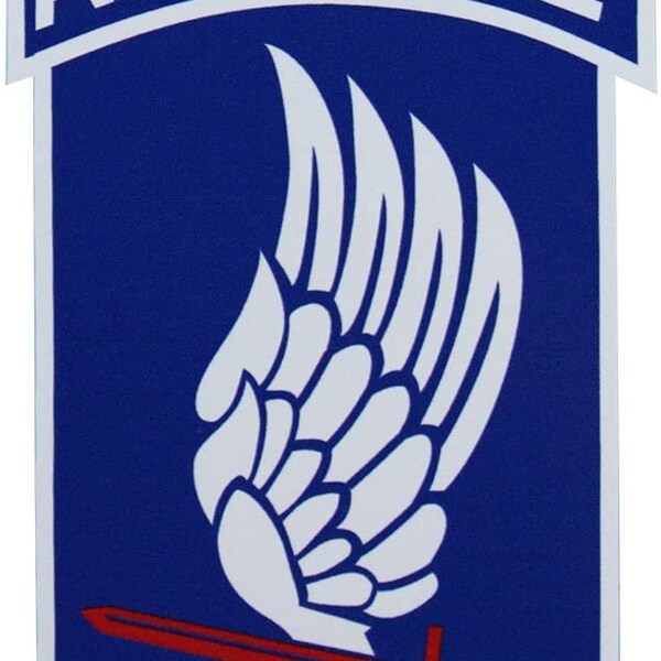 173rd Airborne Brigade - Etsy