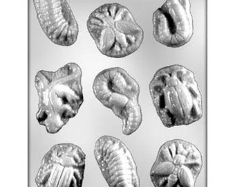 Cockroach Mold | Etsy