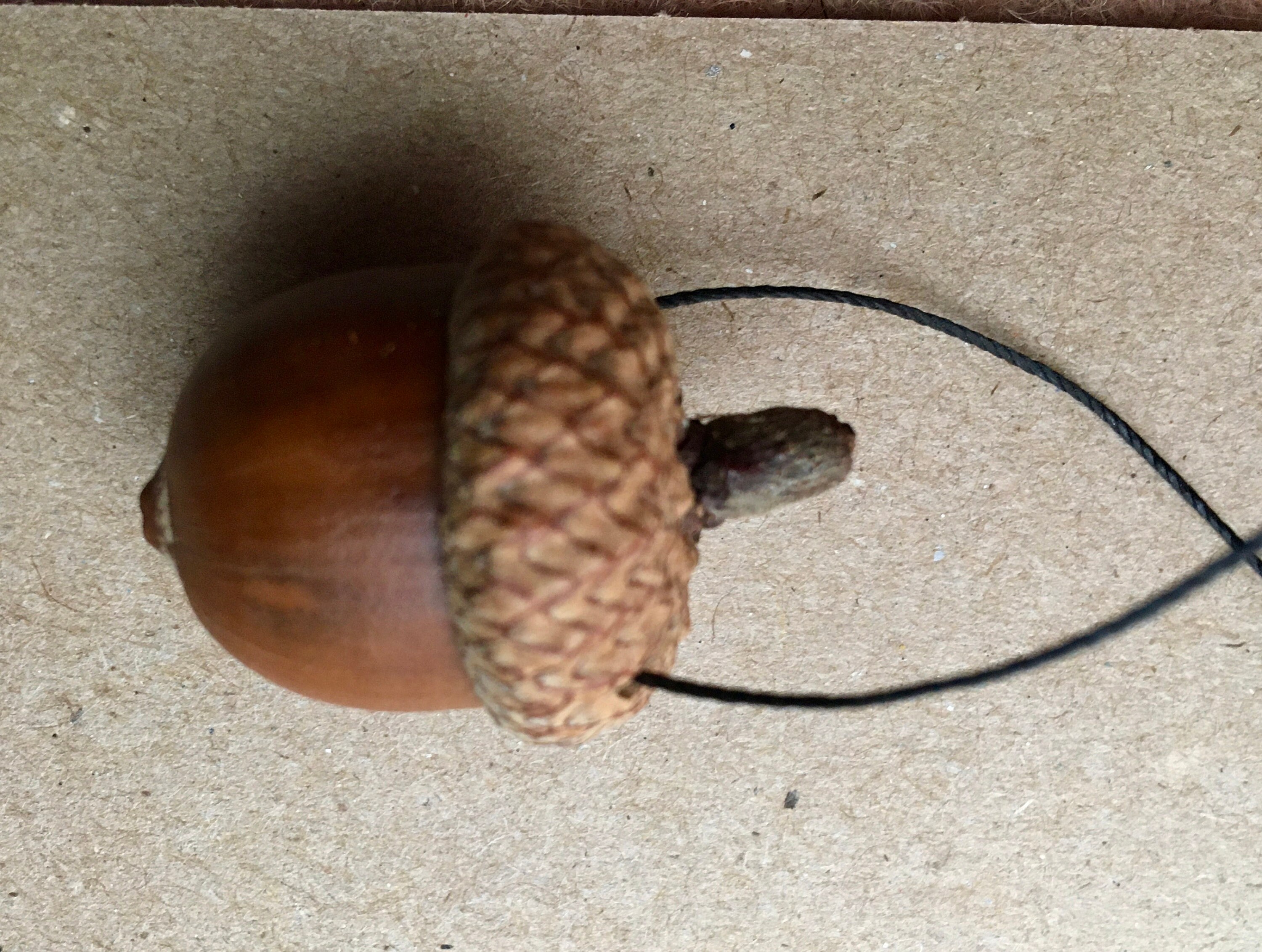 Handmade Acorn Necklace That Opens - Etsy