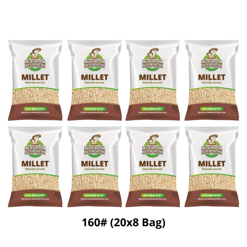 Proso Millet Grains - 10# to 240# by Mushroom Media Online - Etsy