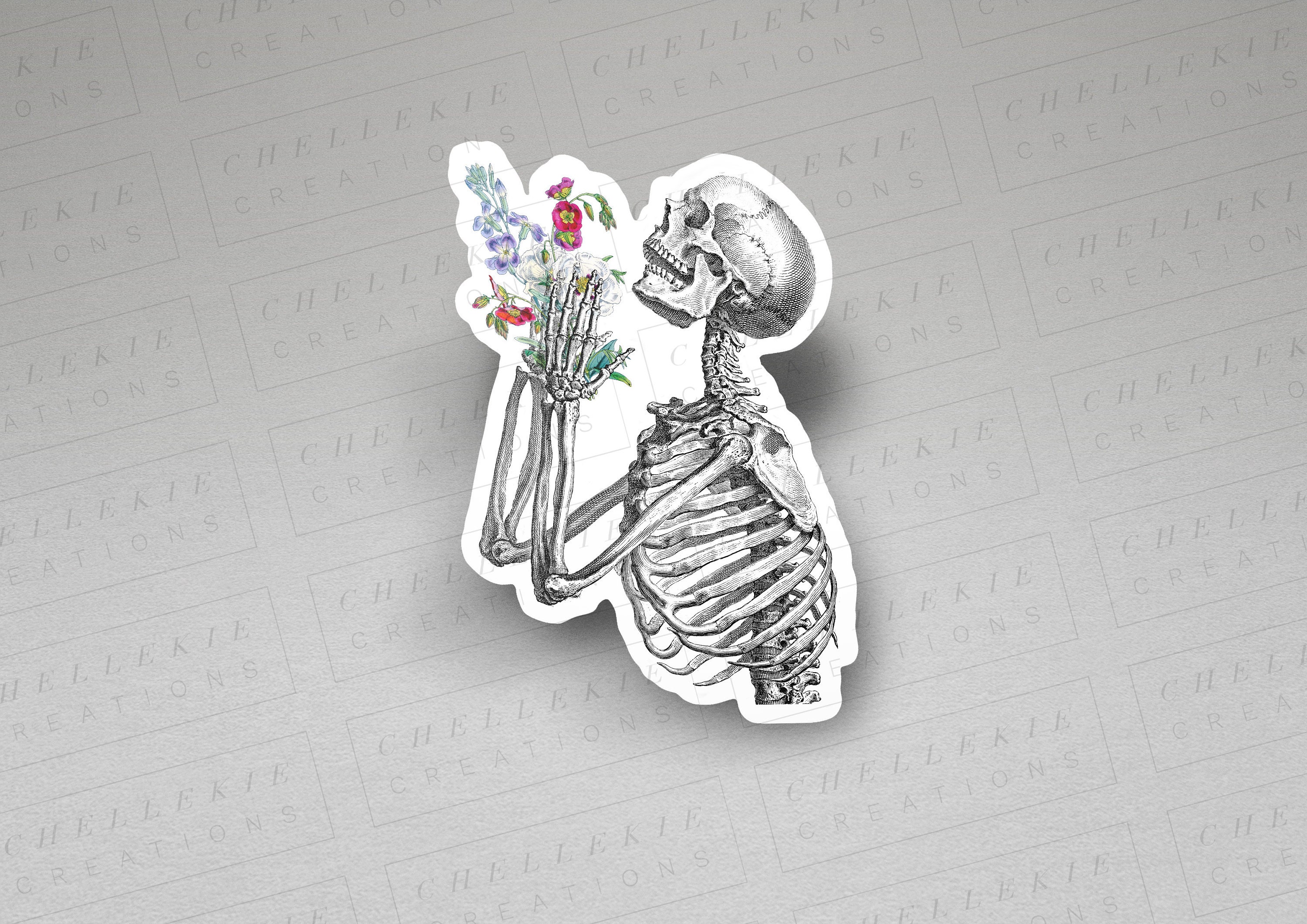 Skeleton Sticker Human Anatomy Sticker Laptop Stickers - Etsy Canada