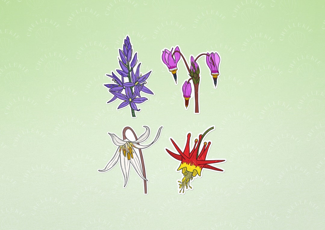 Native Plant Stickers, Wildflower Stickers, Gifts for Nature Lovers ...