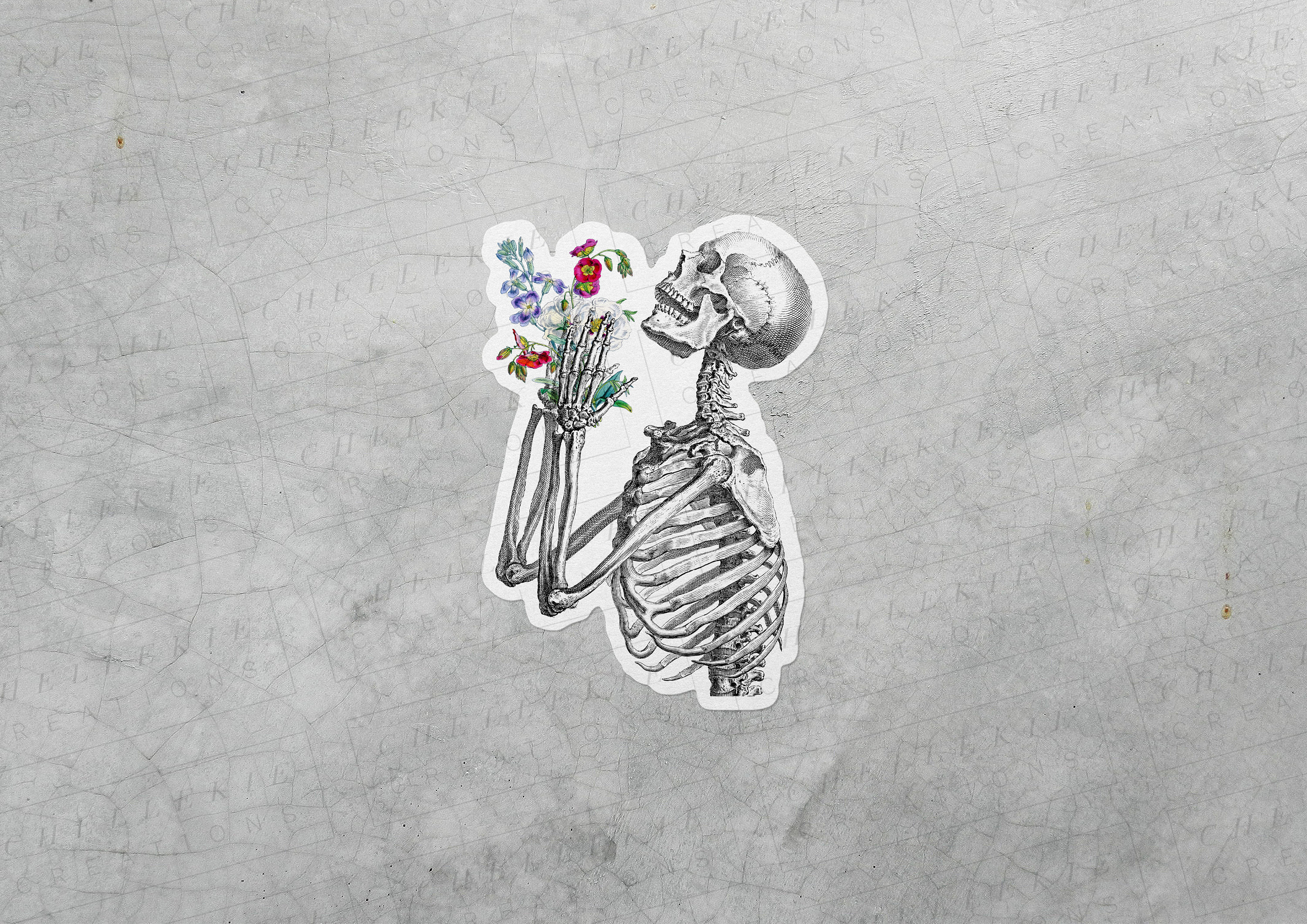 Skeleton Sticker Human Anatomy Sticker Laptop Stickers - Etsy Canada