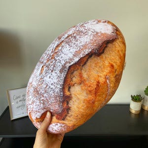 Realistic Loaf Bread Pillow: Funny Food Plush, Couch Cushion - Etsy