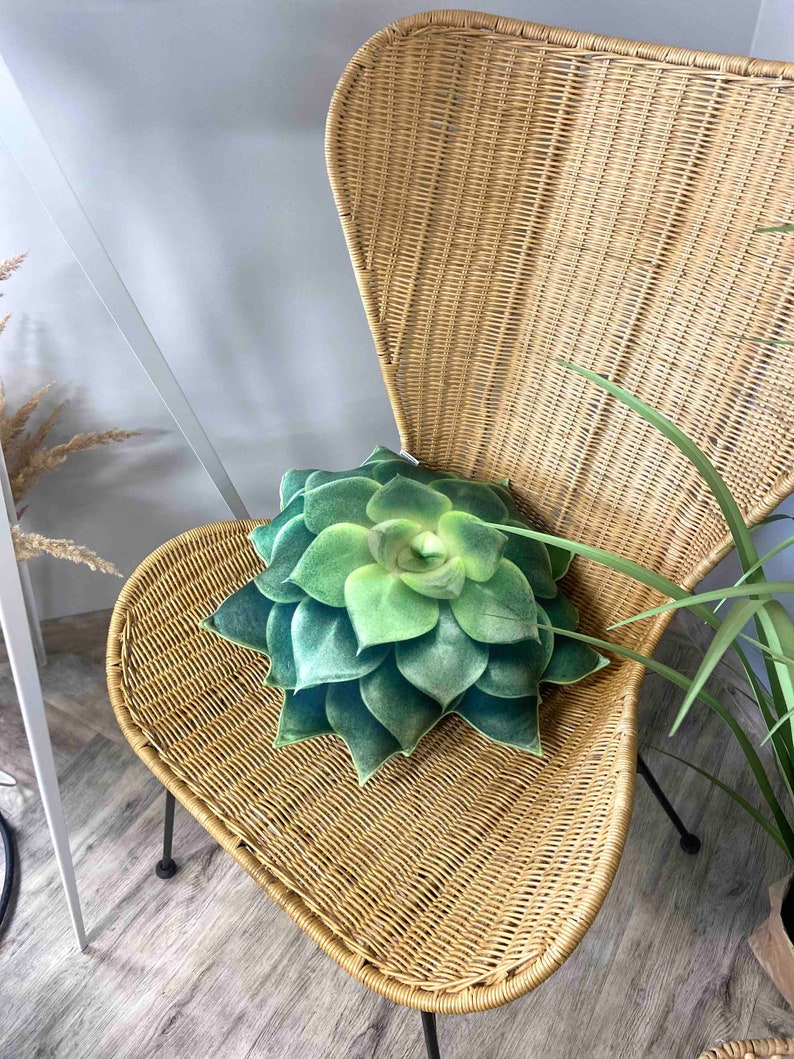 Succulent Pillow / Green Succulent / Echeveria Pillow / Plant - Etsy