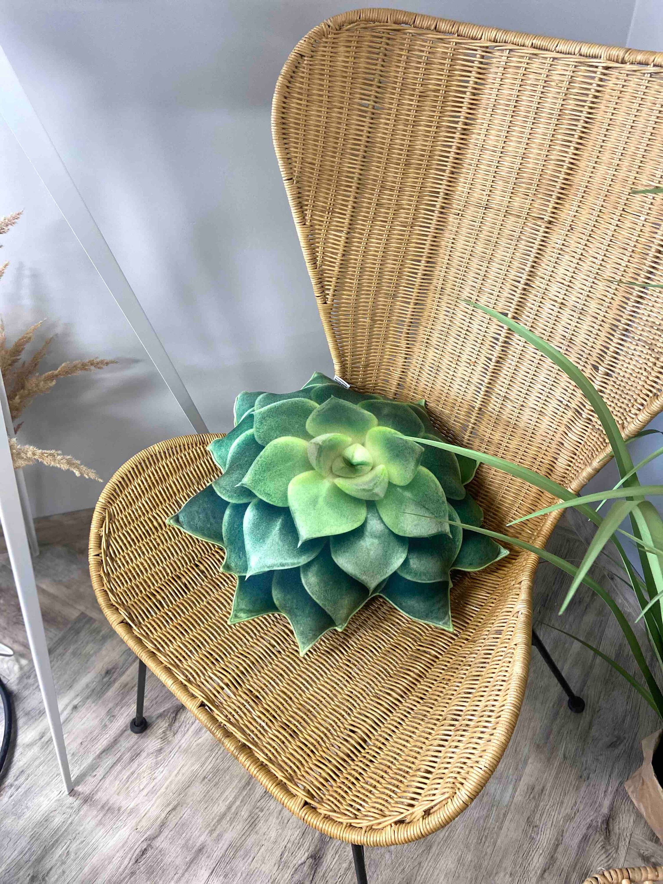 Succulent Pillow / Green Succulent / Echeveria Pillow / Plant - Etsy