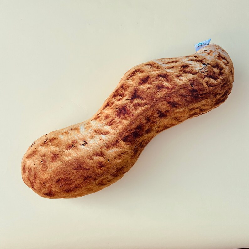 Realistic Peanut Pillow, Handmade Plush Nut Cushion, Food Pillow - Etsy