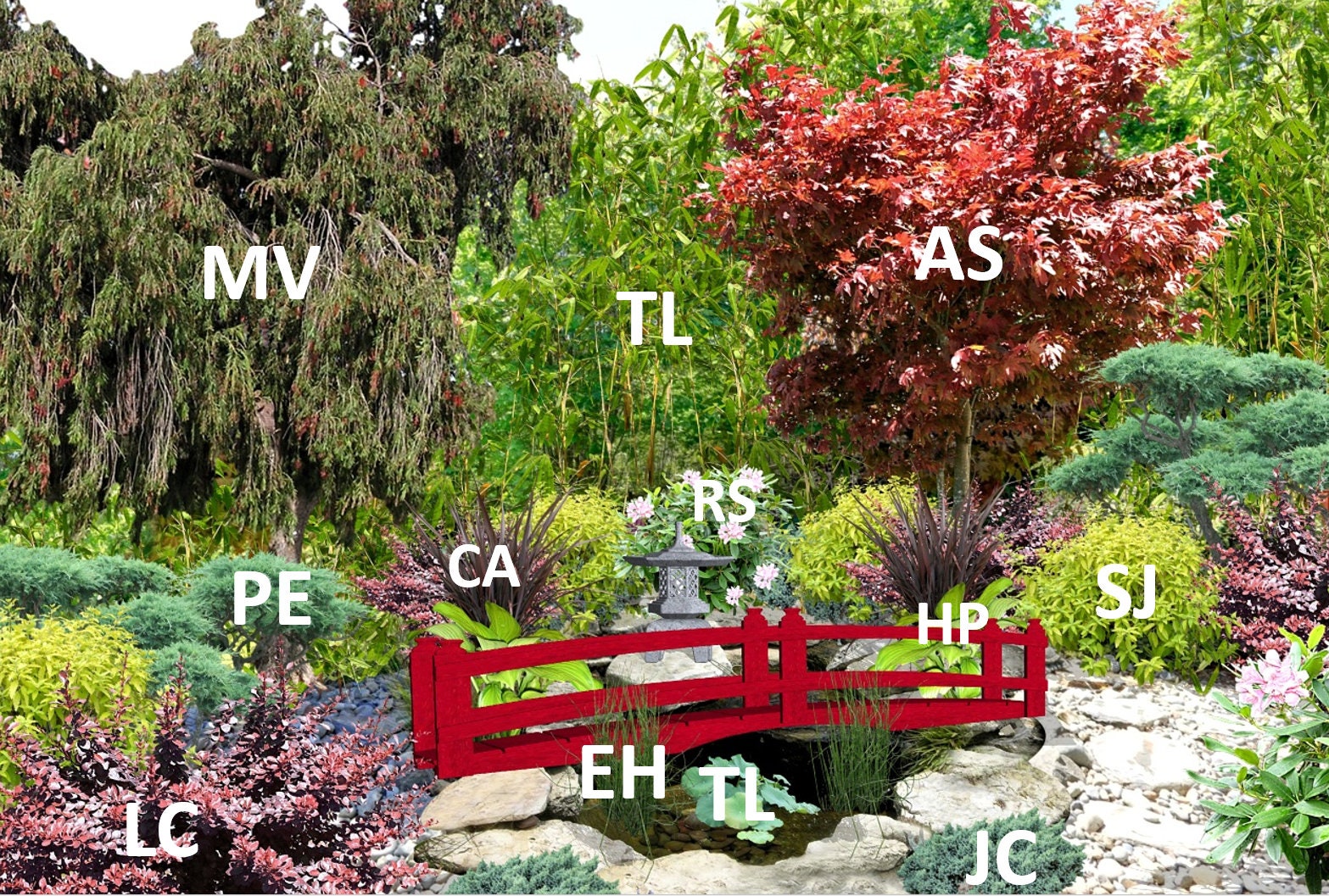 Find Your Zen in a Tranquil Japanese Garden - Etsy