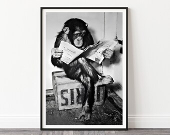 Chimpanzee Reading Newspaper Print, Monkey Business, Funny Print, Black ...