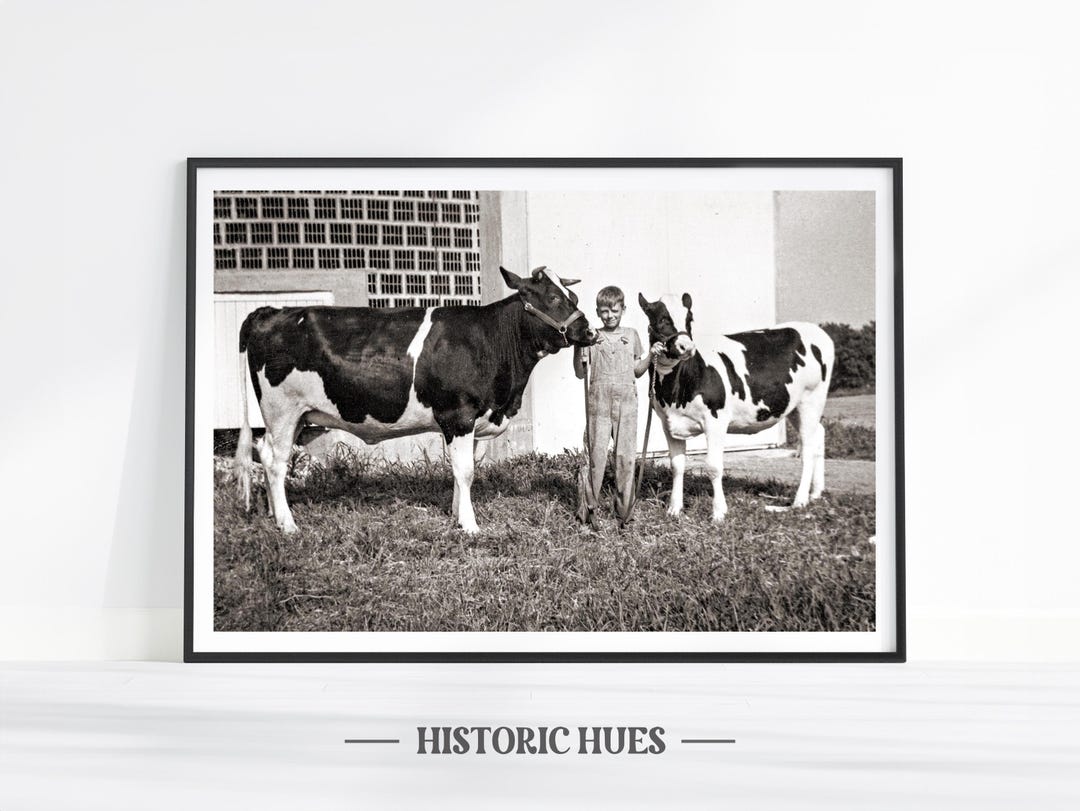 Vintage Cow Print, Rustic Farmhouse Decor, Vintage Farm Animal Print ...