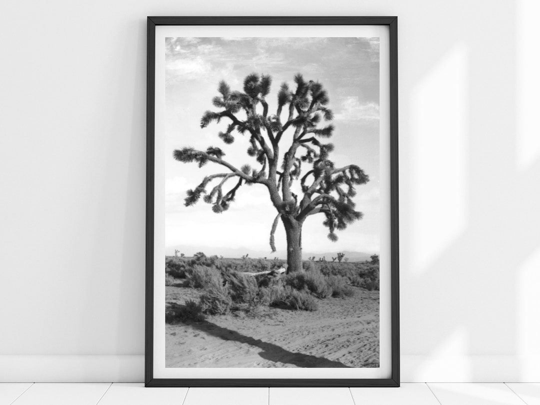 Joshua Tree Print, Desert Wall Art, Black and White Art, Joshua Tree ...