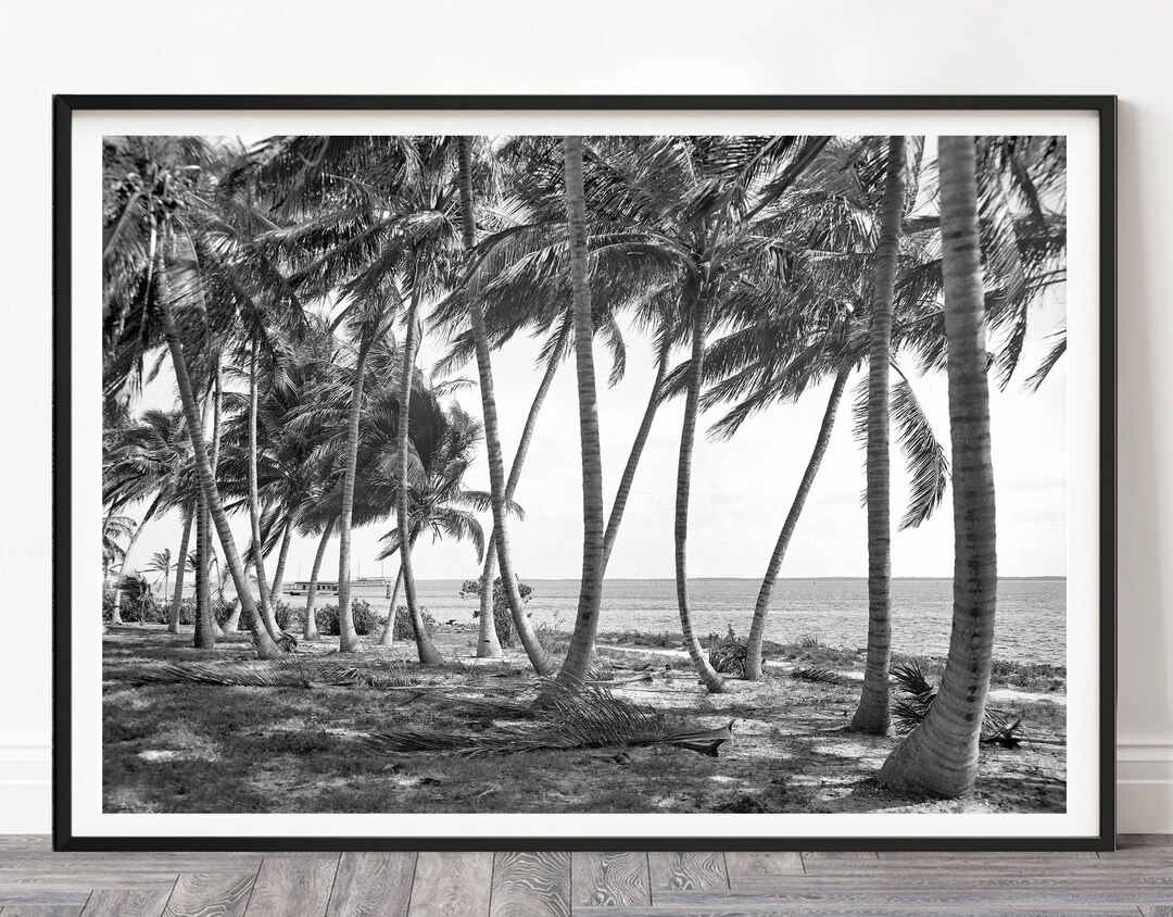 Vintage Miami Print, 1910 Miami Wall Art, Black and White Photography ...