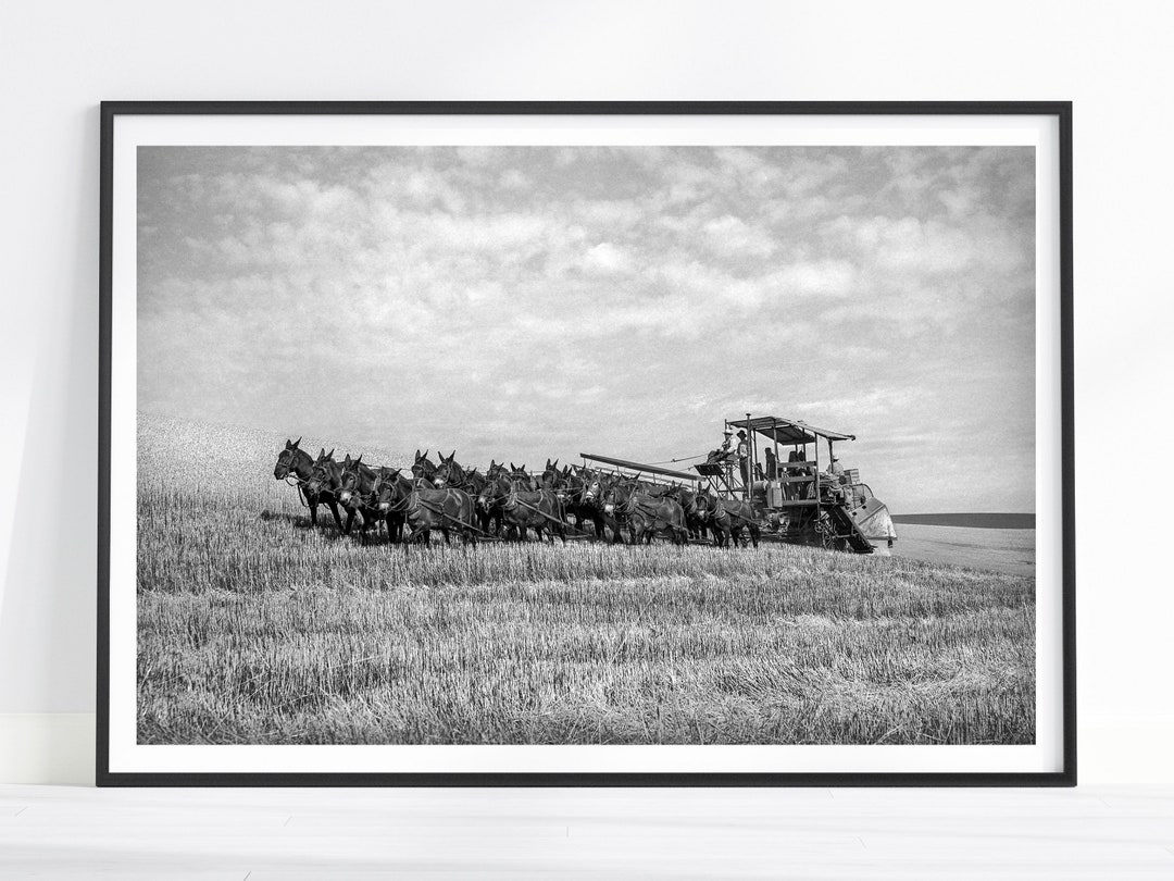 Vintage Farming Print, Farmhouse Print, Vintage Farmhouse Decor ...