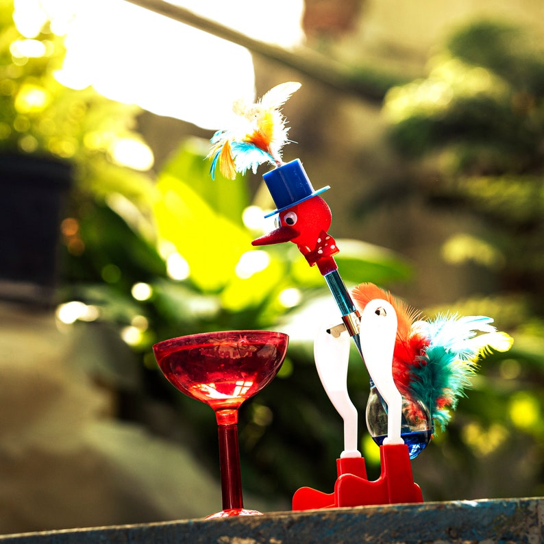 Mango Pie Colorful Flower-shaped Feather A Perpetual Motion Drinking ...