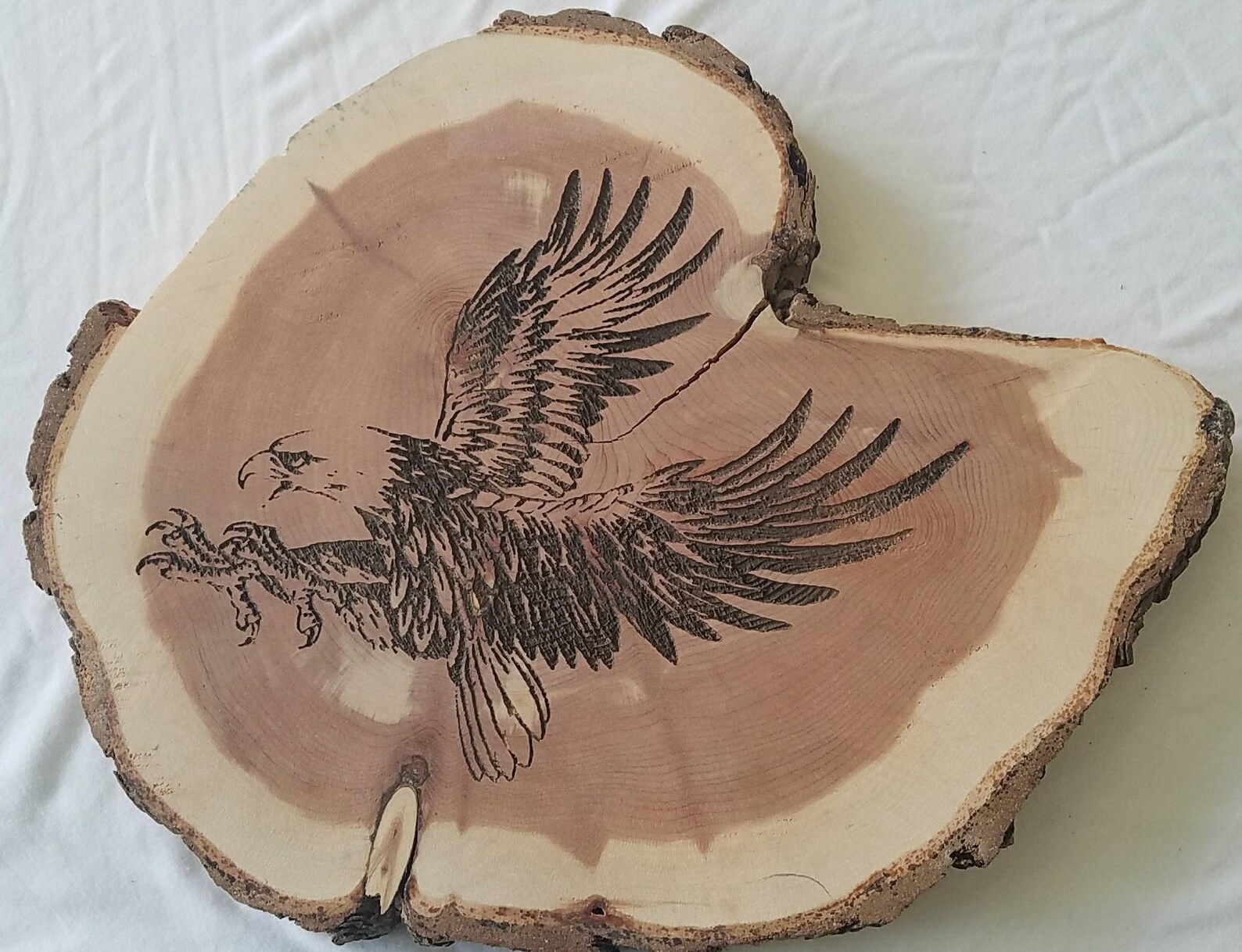 Wildlife Wood Eagle Plaque, Woodland Animals, Laser Engraved, Natural ...