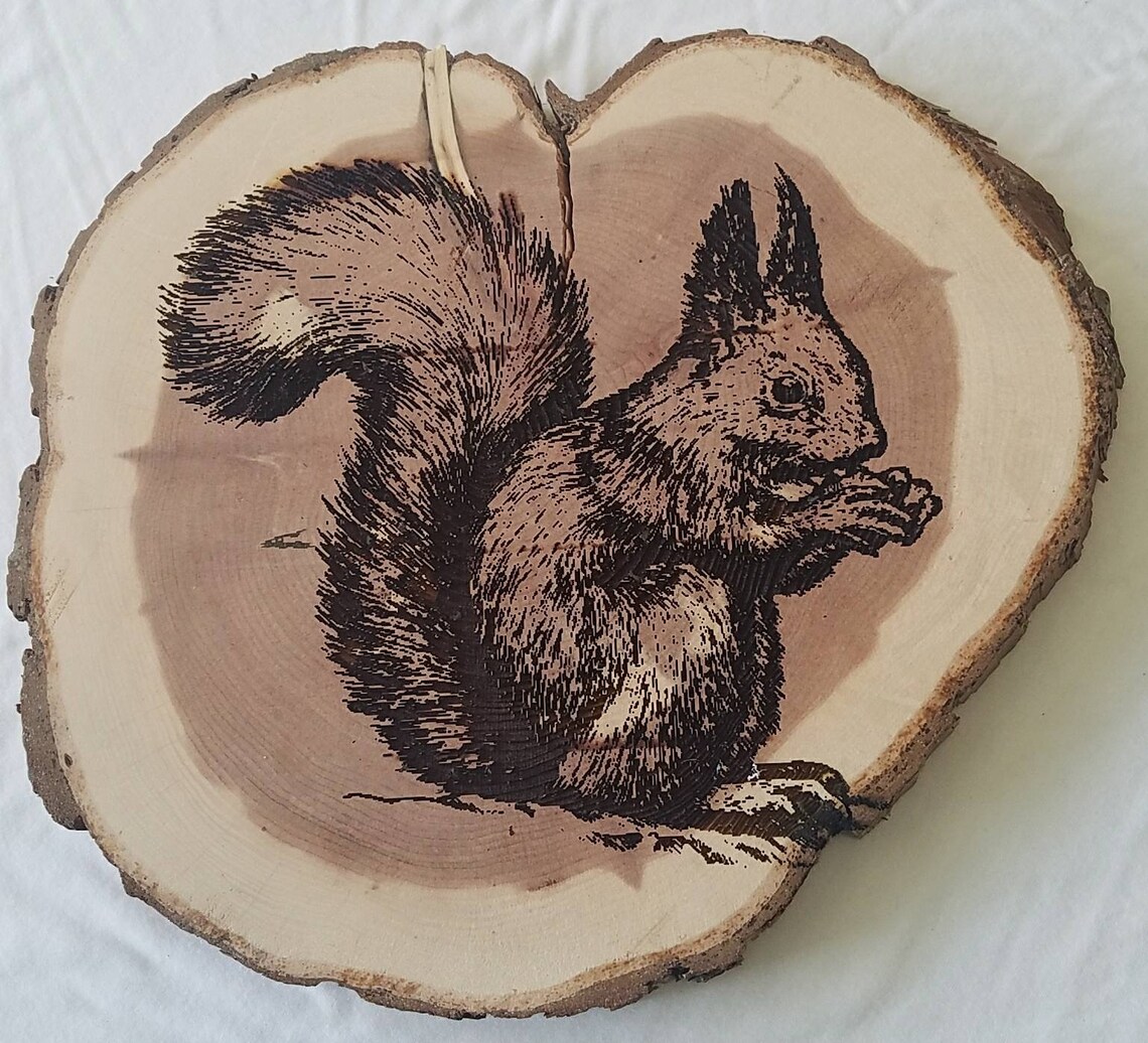 Wildlife Wood Squirrel Plaque Woodland Animals Lazer - Etsy