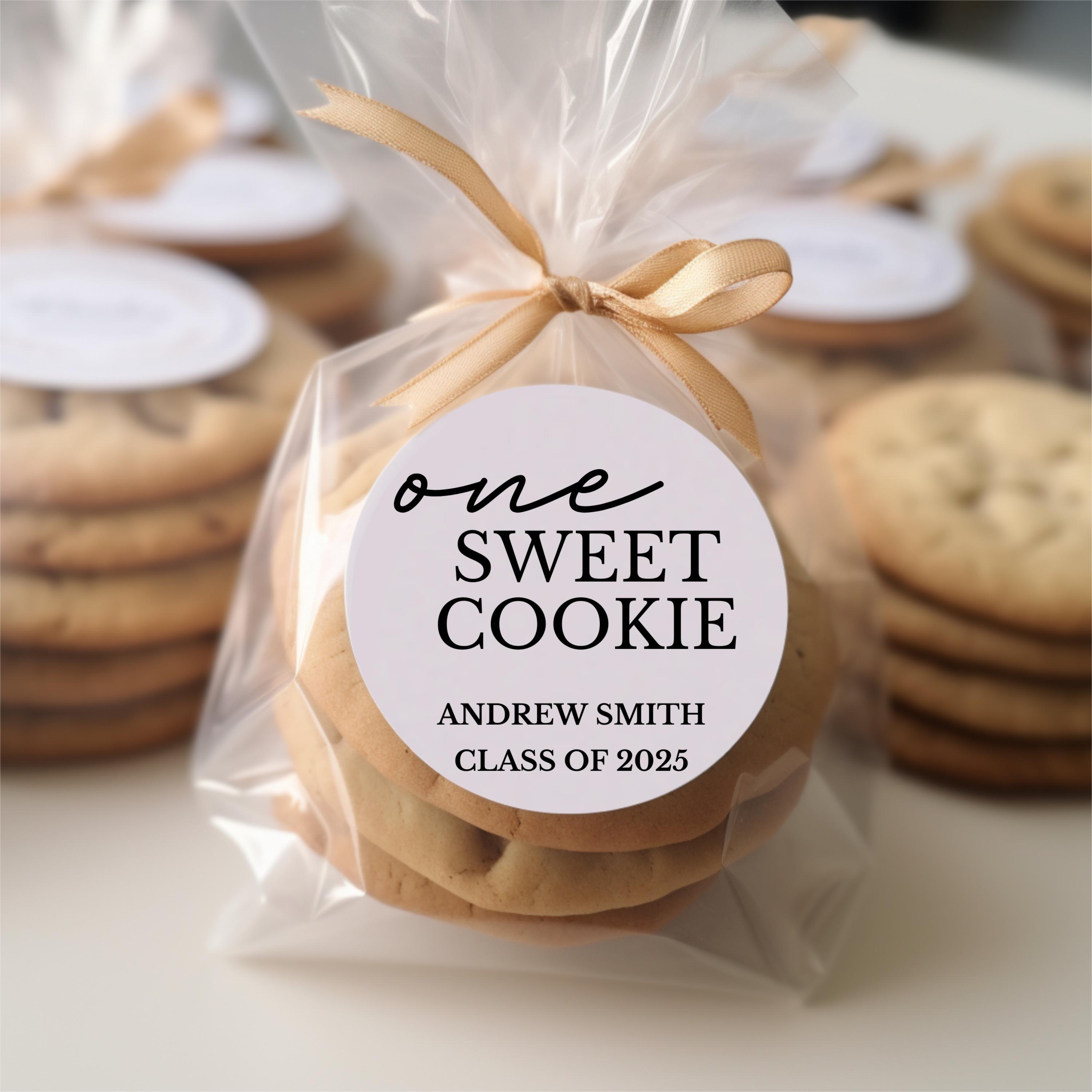 Graduation Stickers, 2 Round Sticker Sheets, Graduation Decor, Party ...